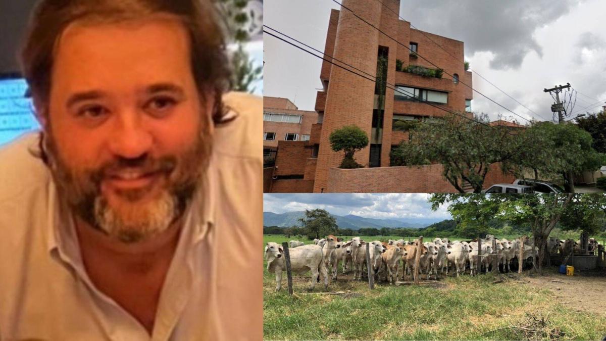 Felipe Rocha: La carta con la que piden intervención en caso de la ...