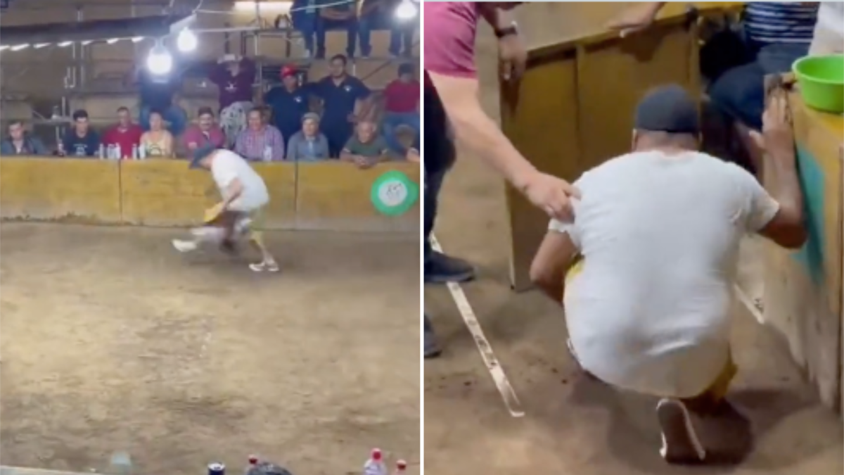 Gallo de pelea se rebeló contra su dueño y lo hirió en México