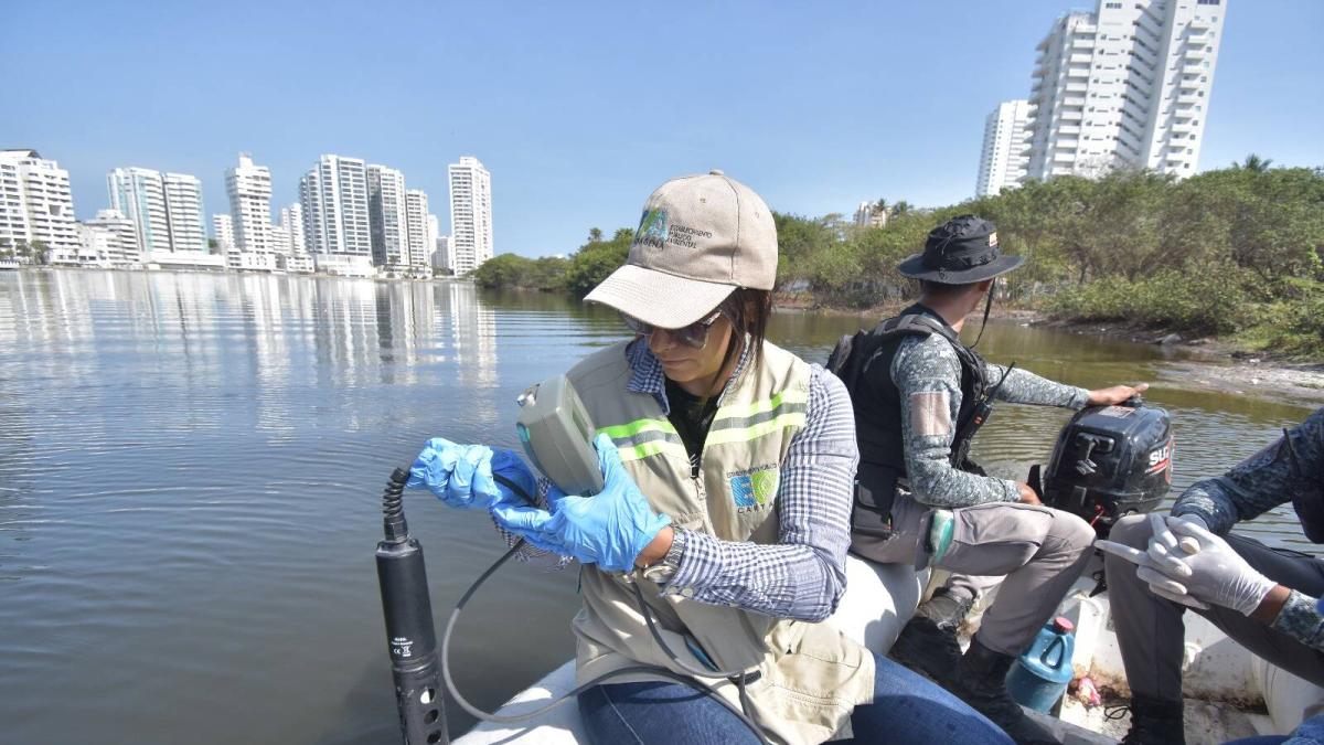 Cartagena: Polémica por proyecto para construcción del Parque Acuático ...