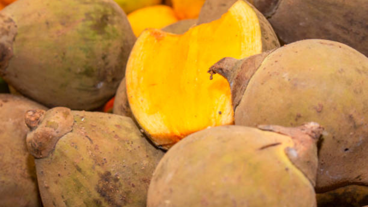 Zapote: ¿qué es el zapote y para qué sirve?