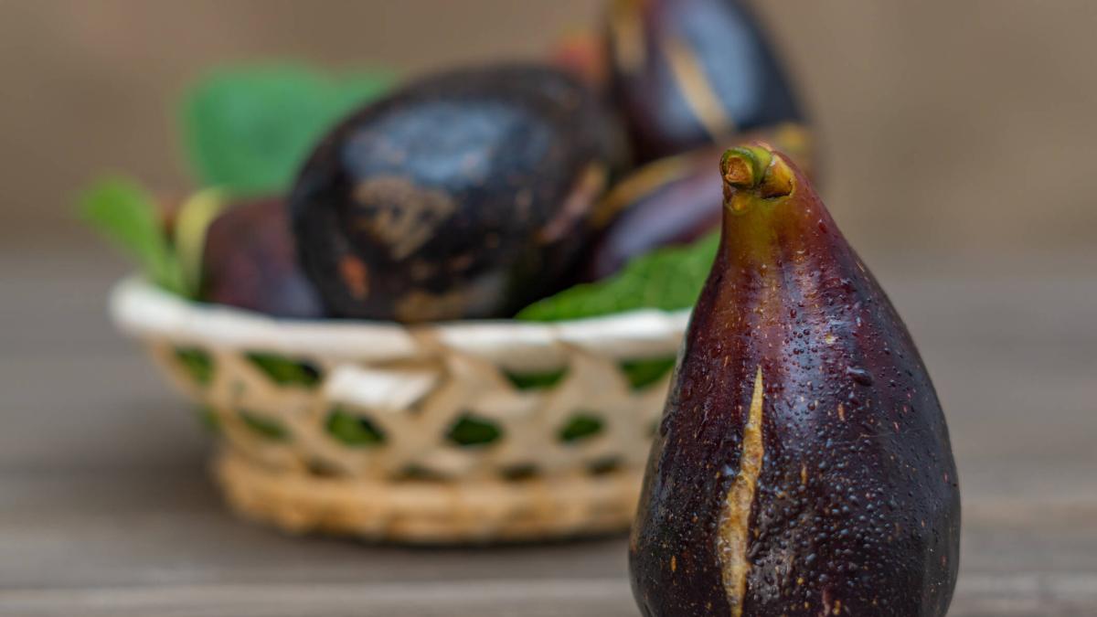 ¿Cuál es la diferencia entre la breva y el higo?