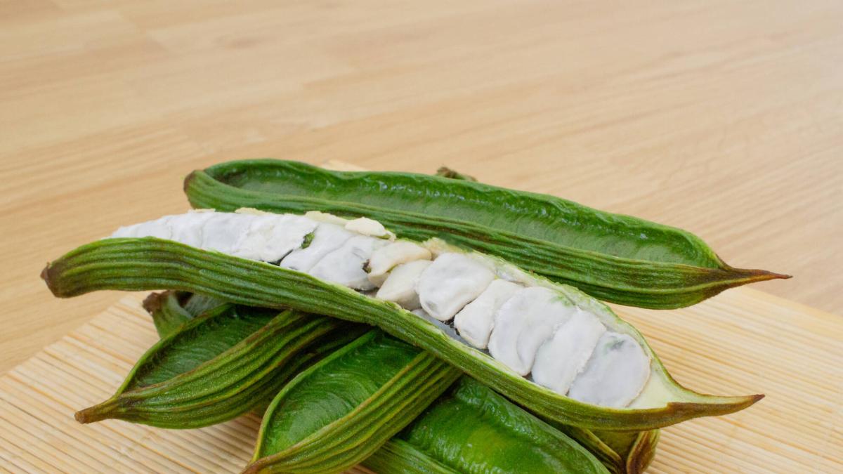 Guama: ¿Qué beneficios tiene la guama?