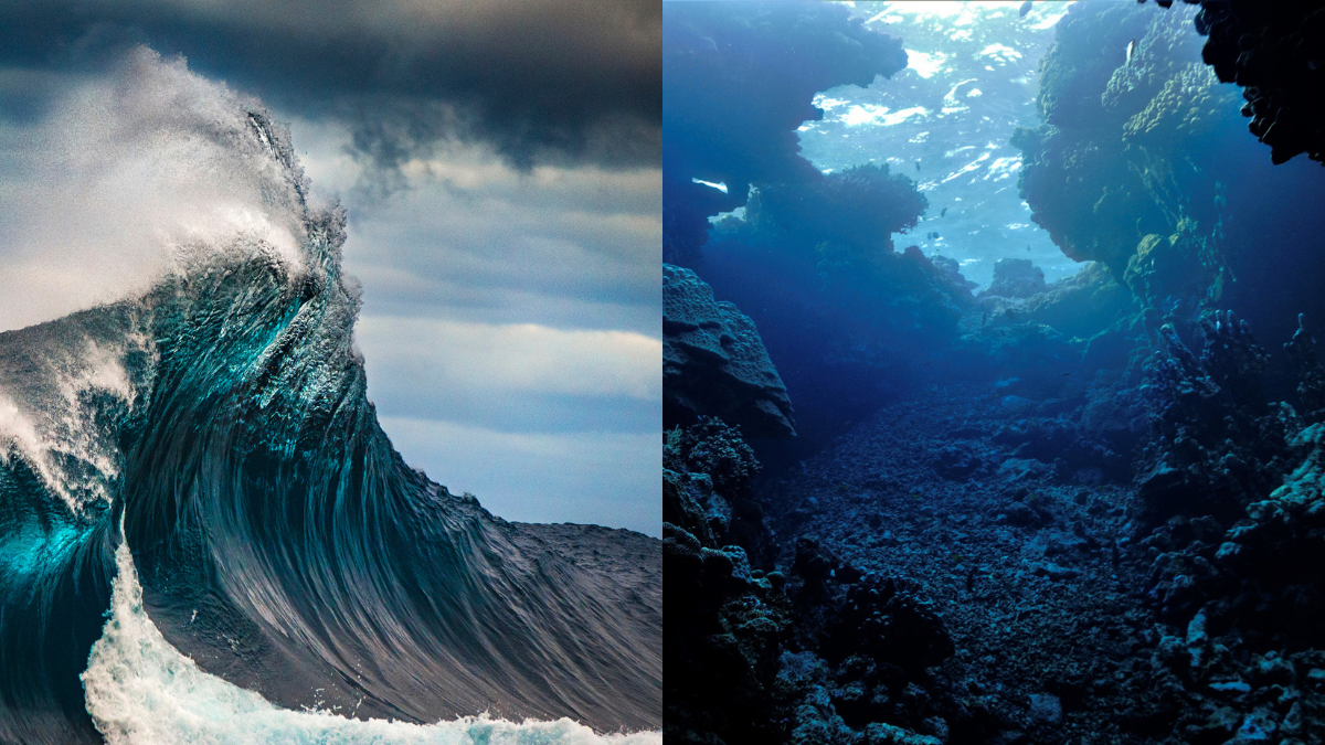 Océano: ¿cuáles son los 5 océanos del mundo?