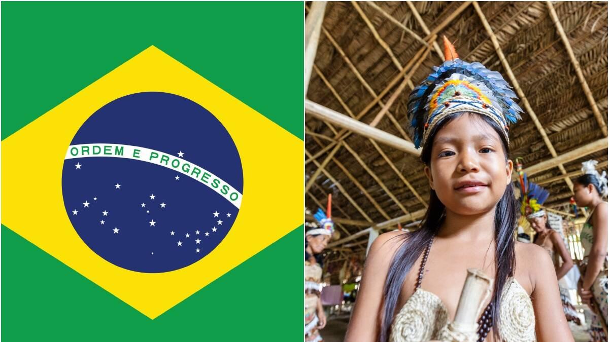 Indígenas: ¿Cuántas comunidades indígenas hay en Brasil?