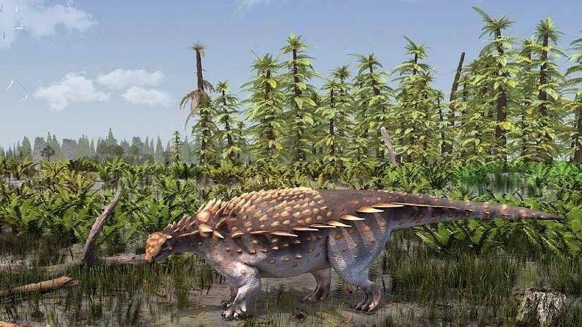 Vectipelta barretti: la nueva especie de dinosaurio acorazado ...