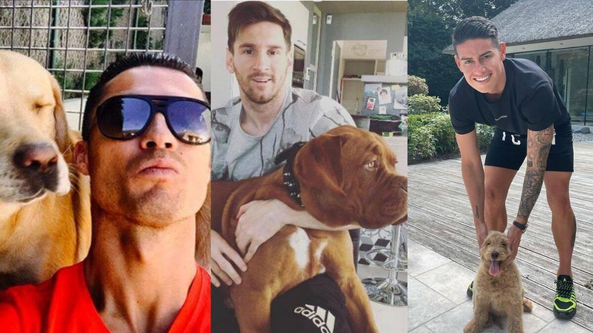 Conozca las mascotas de Cristiano Ronaldo y otros jugadores de fútbol