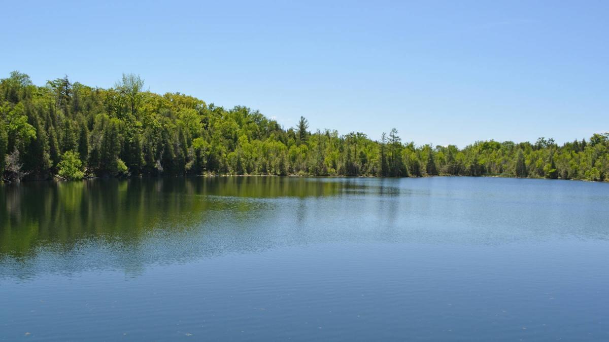 Antropoceno: ¿qué es y dónde se origina esta nueva era geológica en el ...