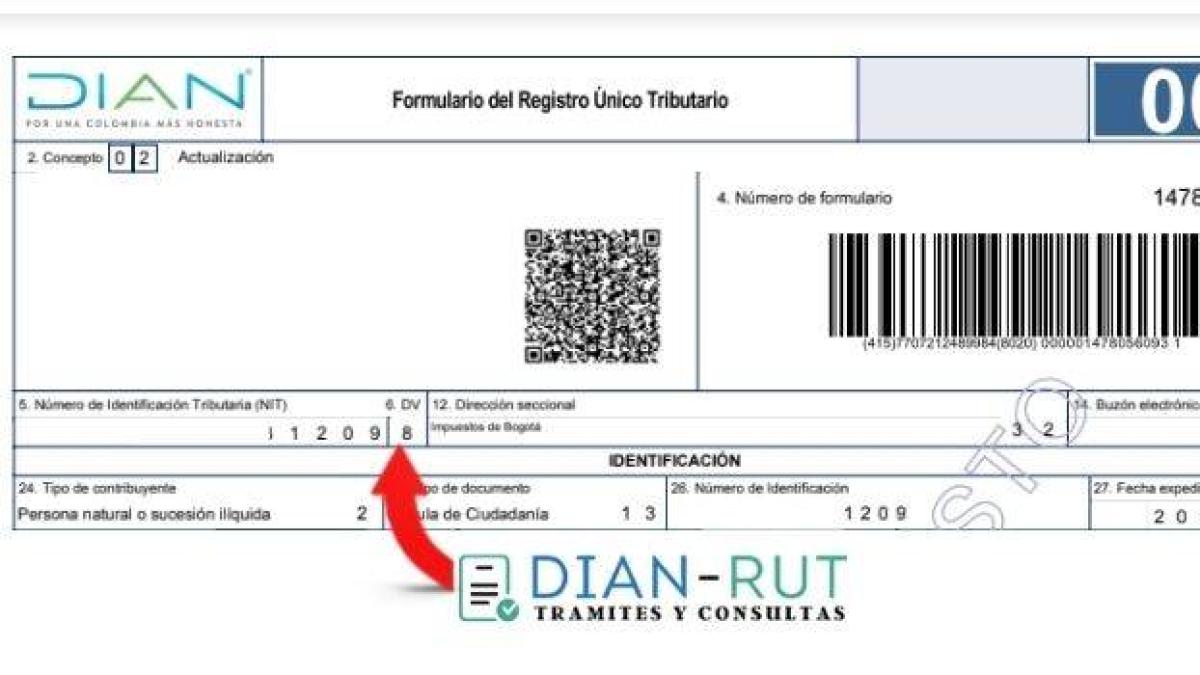 Así puede descargar el RUT por internet en 2023