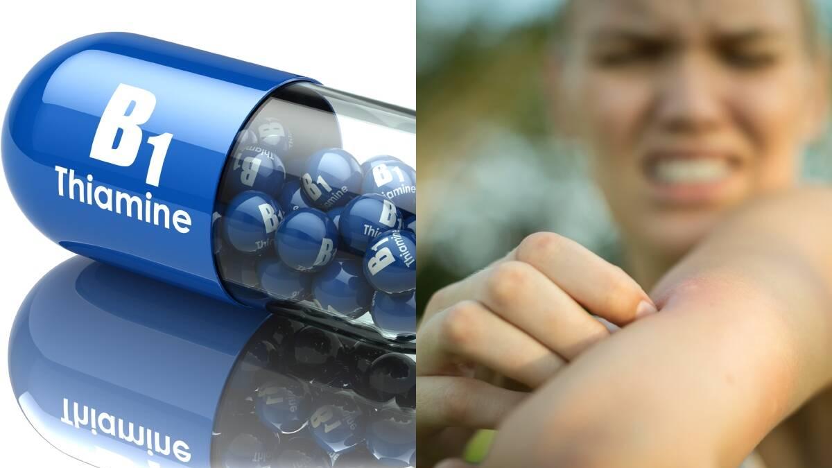 ¿Sirve la tiamina como repelente a picaduras de mosquitos?