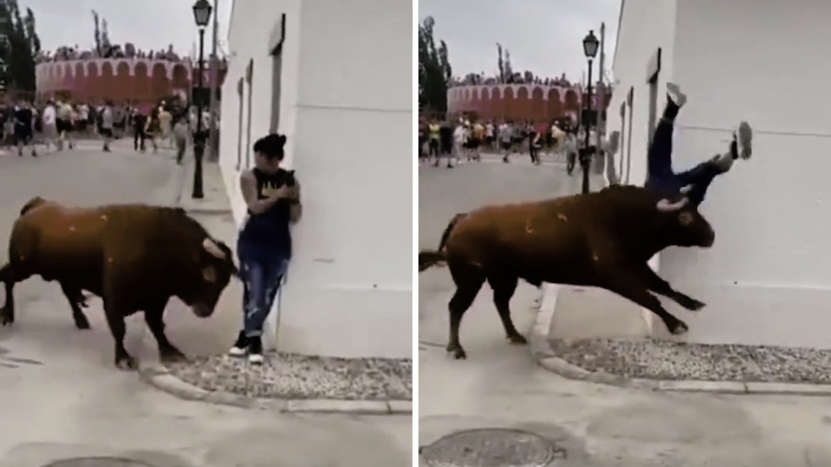 Mujer mira su celular y es embestida, brutalmente, por un toro en ...