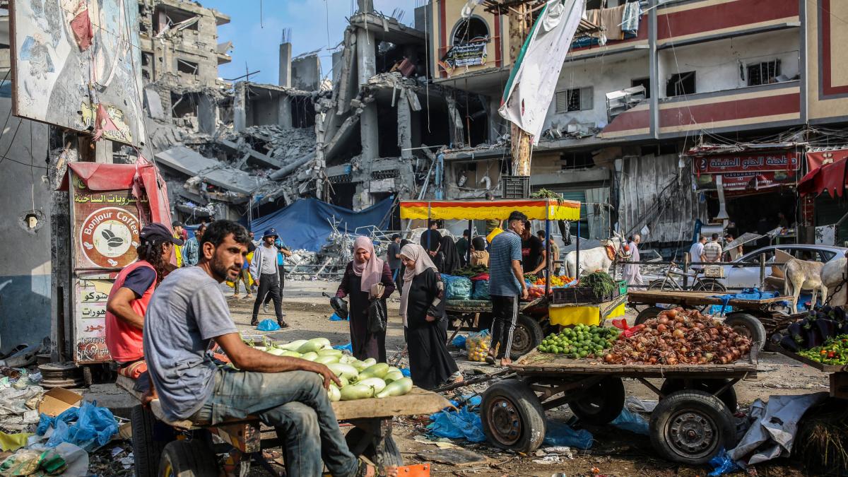 Gaza: un rápido recorrido histórico explicado a través de los ojos de ...