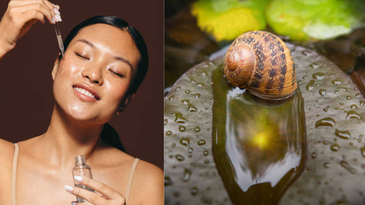 Científicos analizan la baba de caracol y revelan componentes que ...