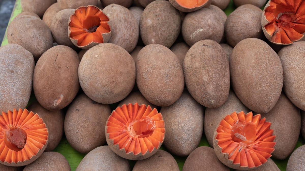 Lúcuma: la fruta ancestral y poco conocida que tiene grandes beneficios ...