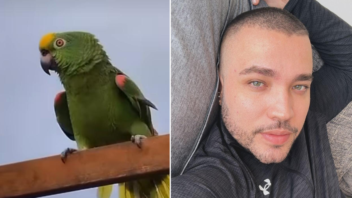 Lora se hace viral al imitar a Jessi Uribe, ahora la solicitan como ...