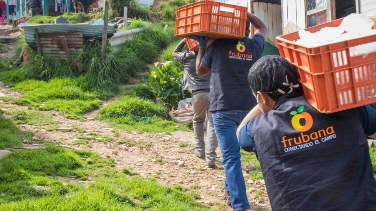 Frubana se va de Colombia, porque se enfocará en Brasil