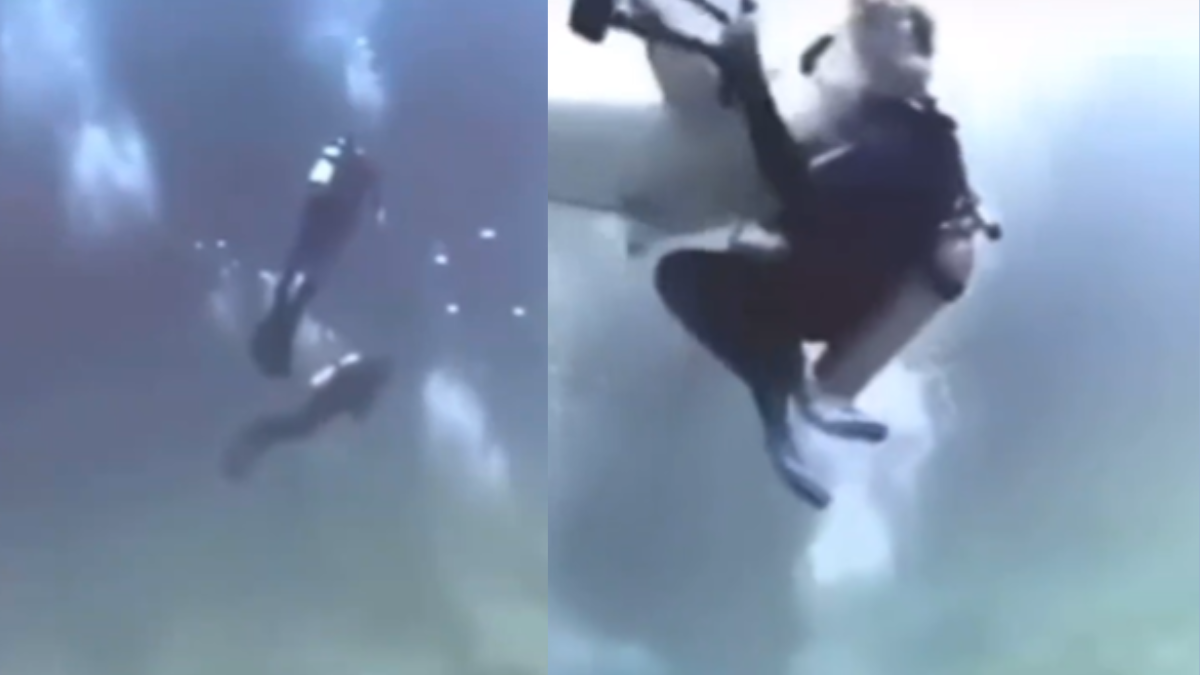 Impactante video muestra a un tiburón atacando a unos buzos en las Maldivas