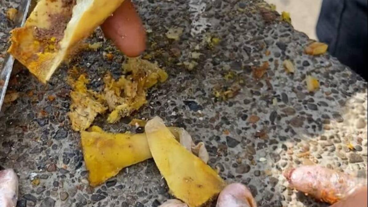 Antioquia: camuflan droga en huesos de pollo que iban para preso en ...