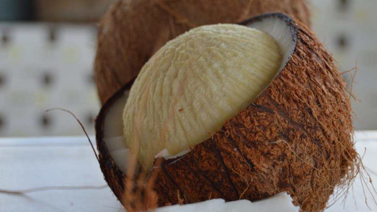 Los poderes de la manzana de coco: qué es, cómo conseguirla y sus ...