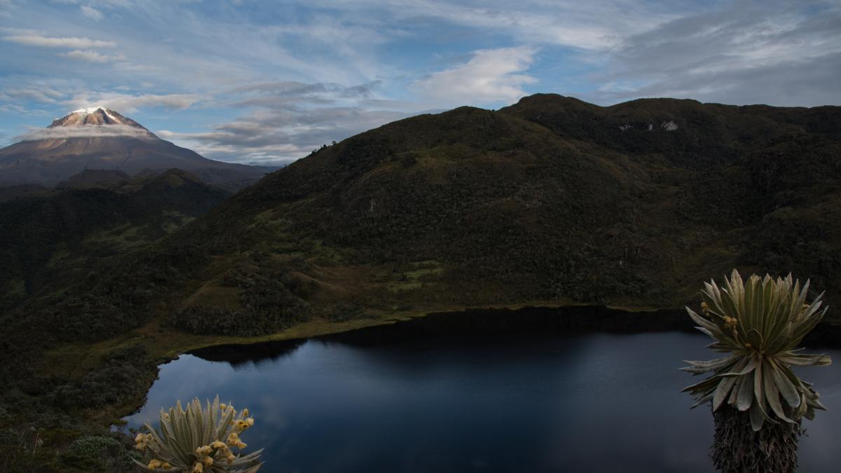 Guía rápida de turismo tolimense