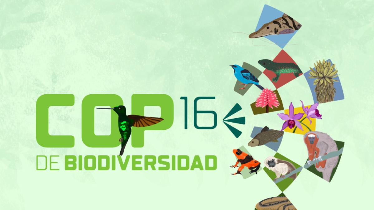 COP16: ¿Qué es, por qué es importante y qué le deja a Colombia la Cumbre de Biodiversidad?