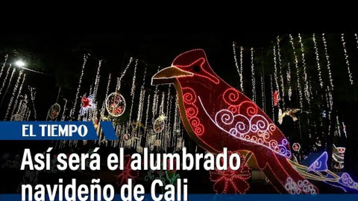 Cali encenderá su alumbrado navideño de $ 23.400 millones: conozca ...