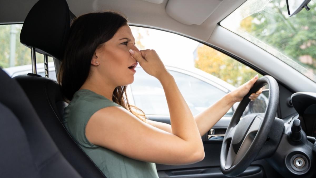 ¿Por qué huele feo un carro? Conozca las posibles razones y cómo puede ...