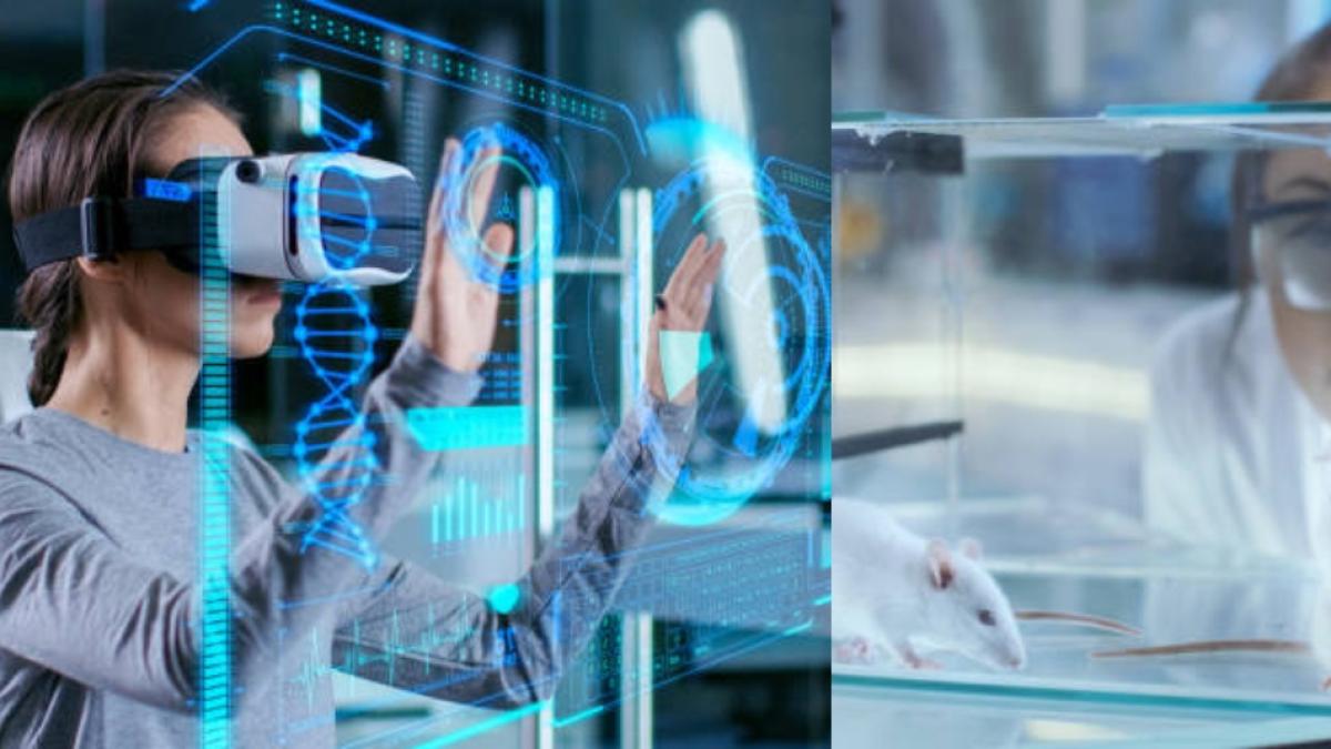 Científicos desarrollaron un dispositivo de realidad virtual que ...