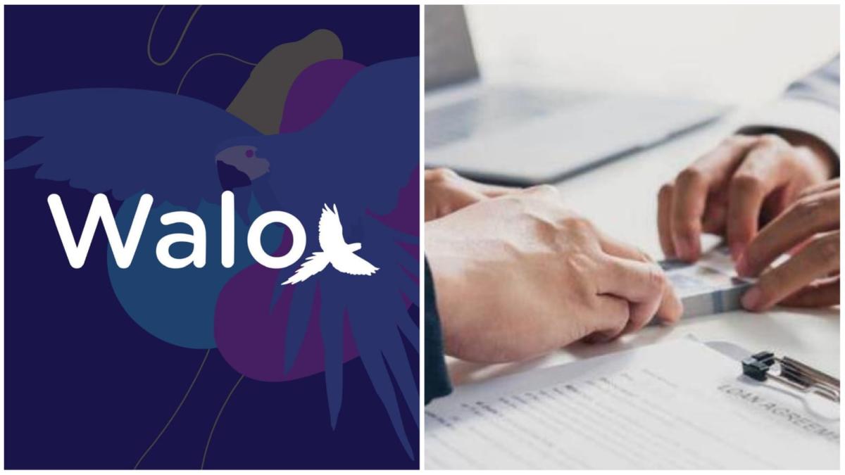 Walo pasó de tener una billetera digital a entregar créditos: así puede ...