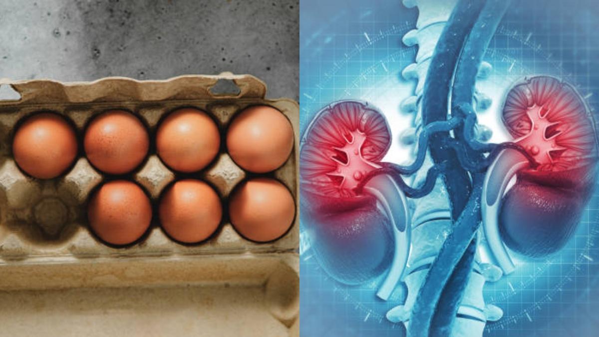¿Es malo el huevo para los riñones? Los expertos dan este consejo