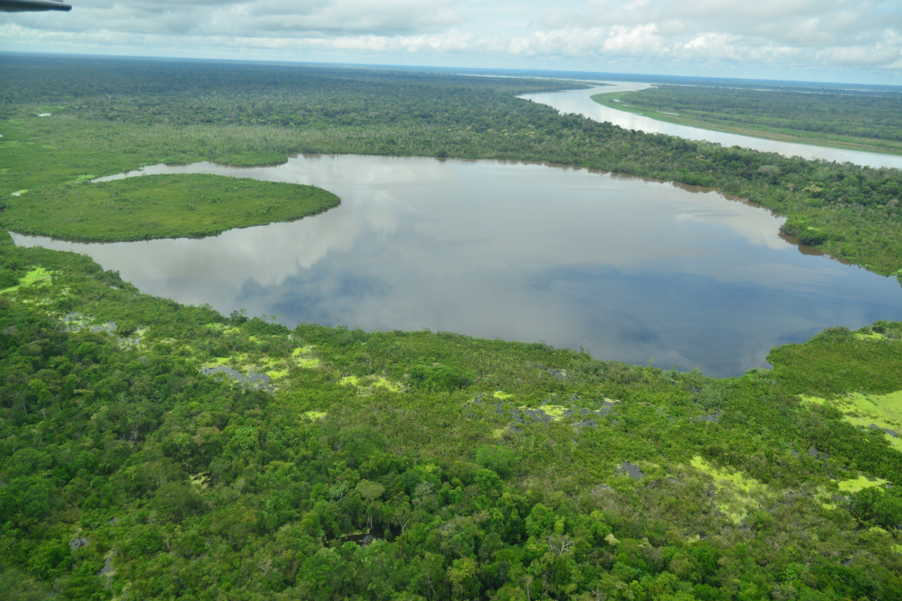 Estos son los 10 datos fascinantes que debes conocer sobre el río Amazonas