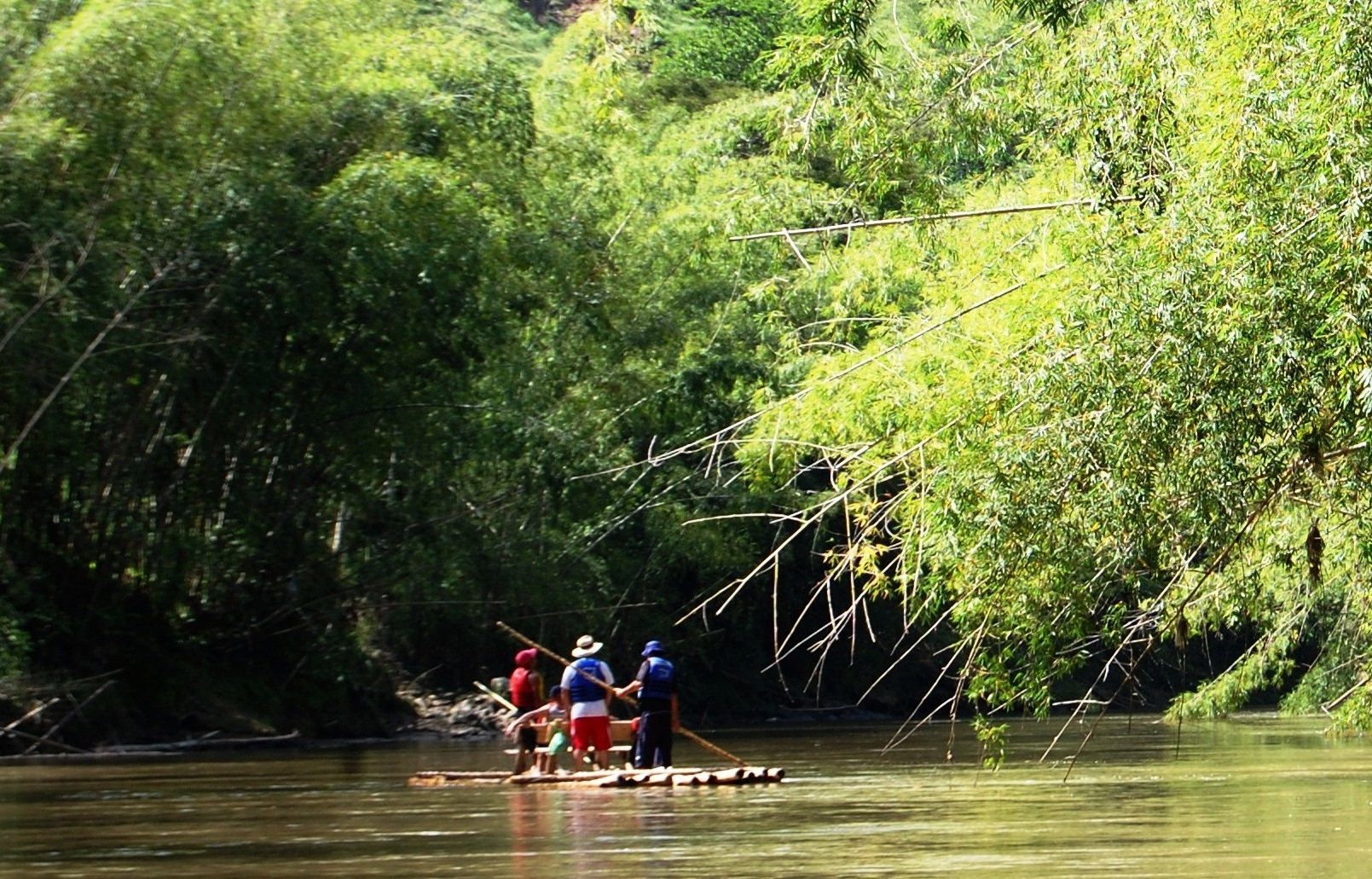 Alarma en el Quindío por muerte de peces en el río La Vieja