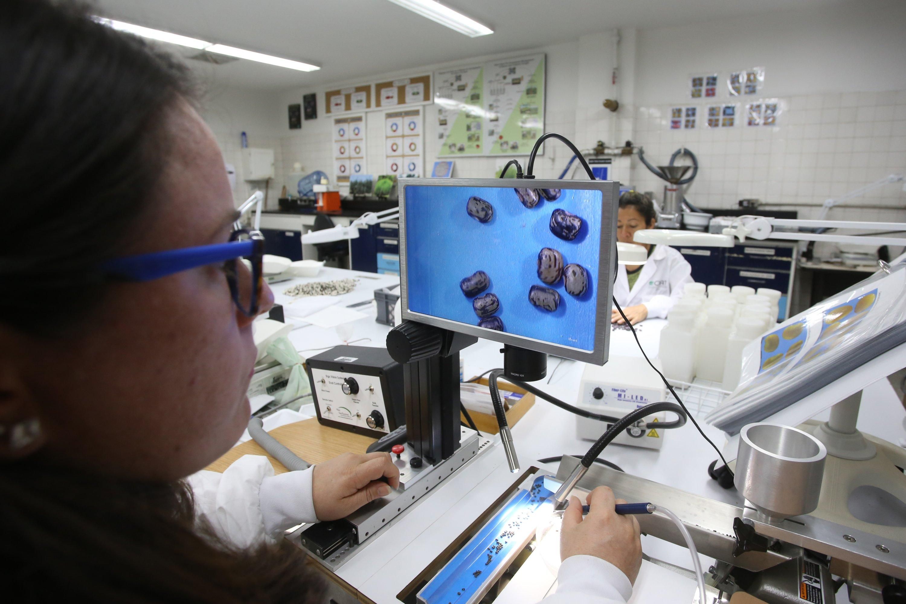La Alianza Bioversity & CIAT celebró que Cali sea sede de la COP16