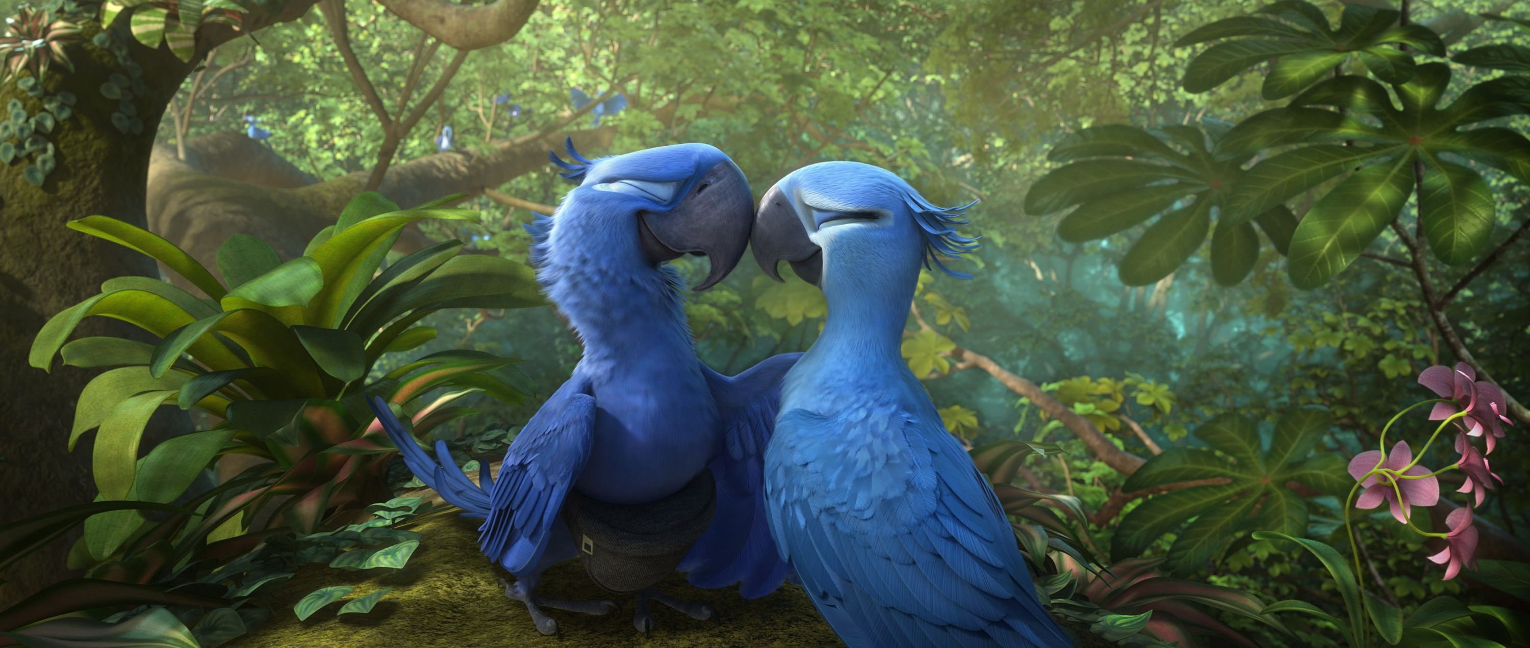 ¿El ave de la película Río, guacamayo de Spix, se extinguió?