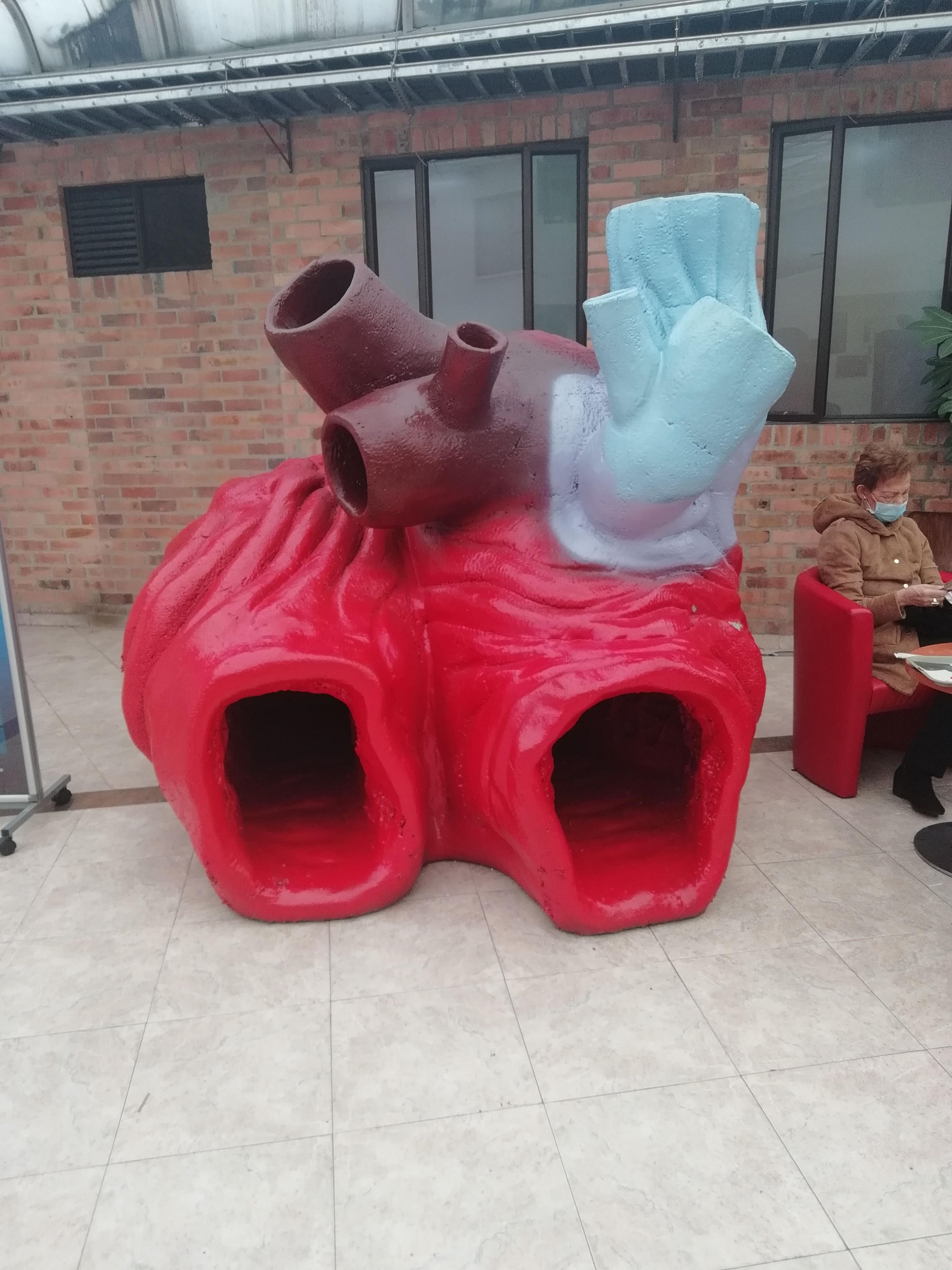 El corazón de una ballena azul captará la atención de los niños en Palatino