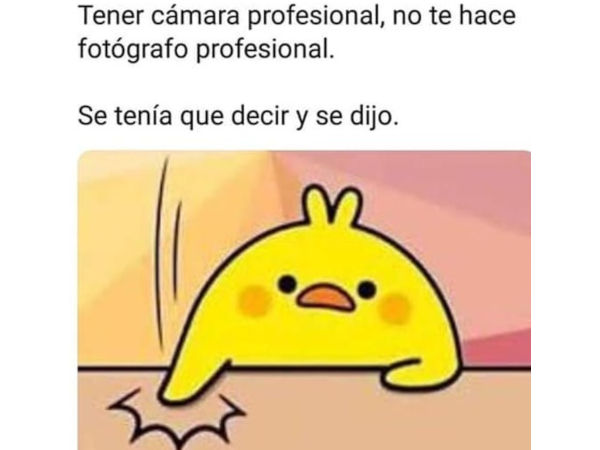 De dónde nació el meme Se tenía que decir y se dijo
