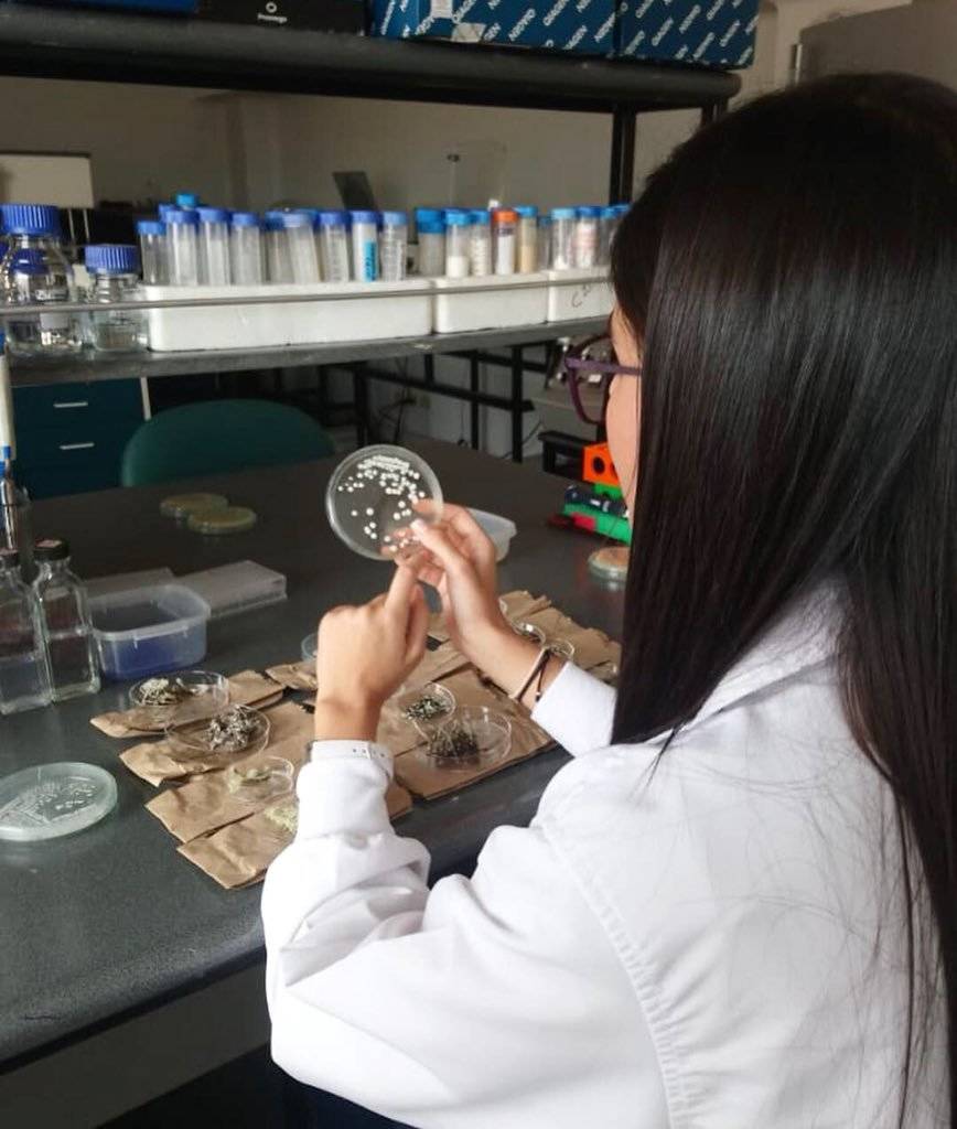 Estudiante María Alejandra Sierra García de la UIS investiga en la Nasa