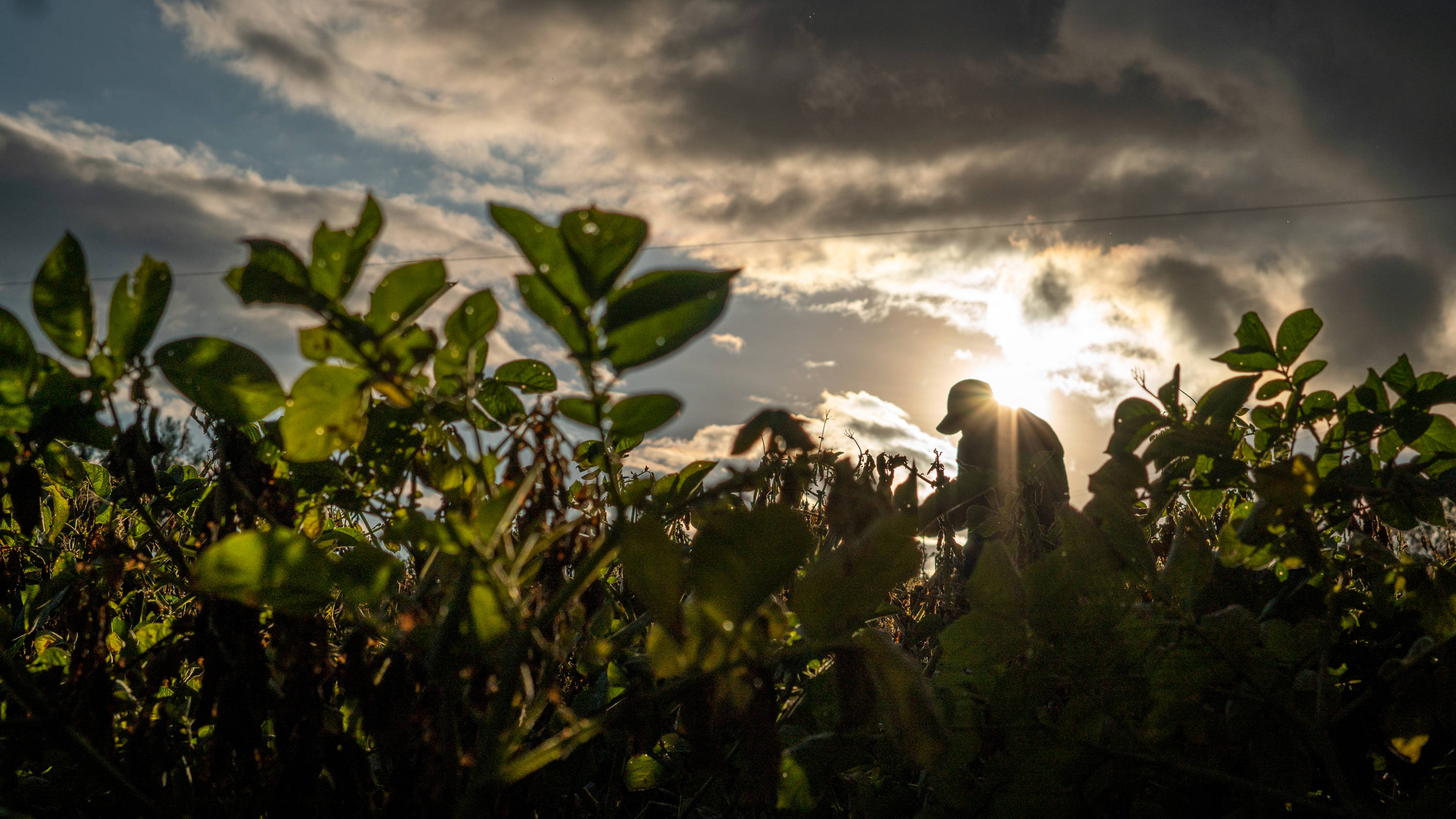 Así está el panorama de sequía y lluvias en las diferentes regiones de ...
