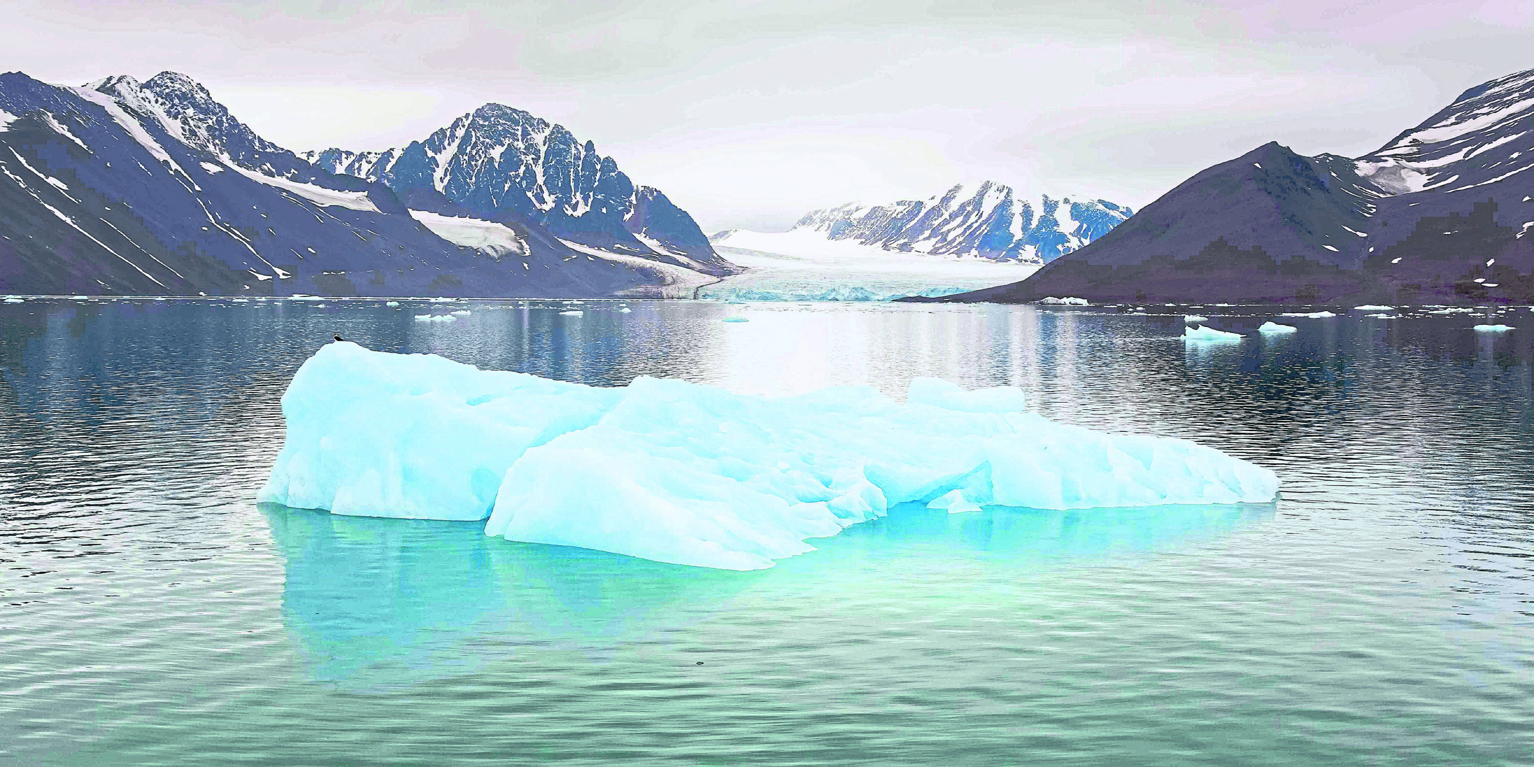 El Ártico entero se quedaría sin hielo en tan solo un par de años