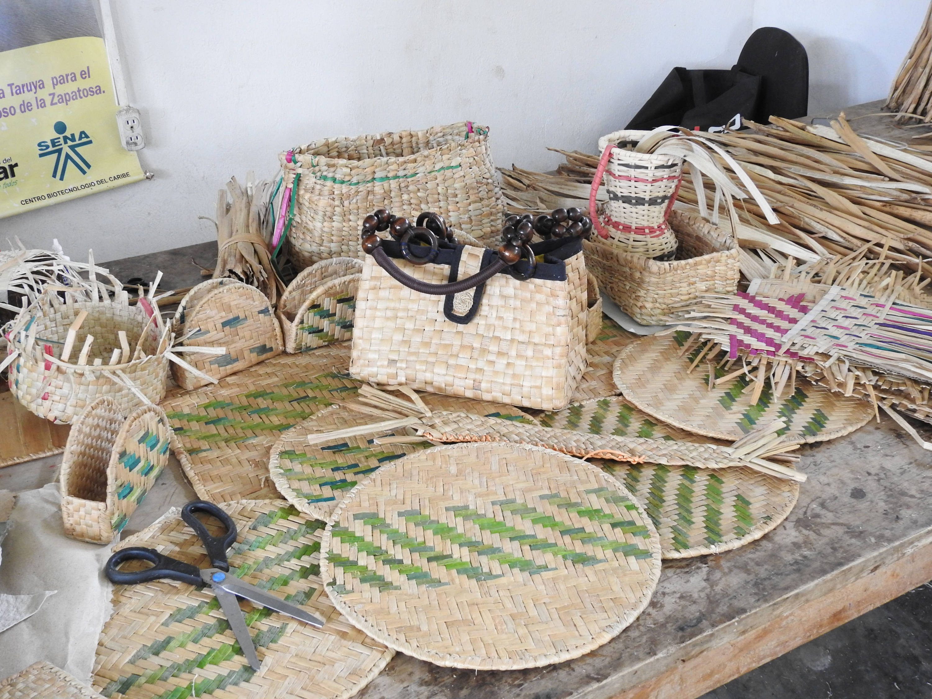 La tarulla transformada en arte en el Cesar