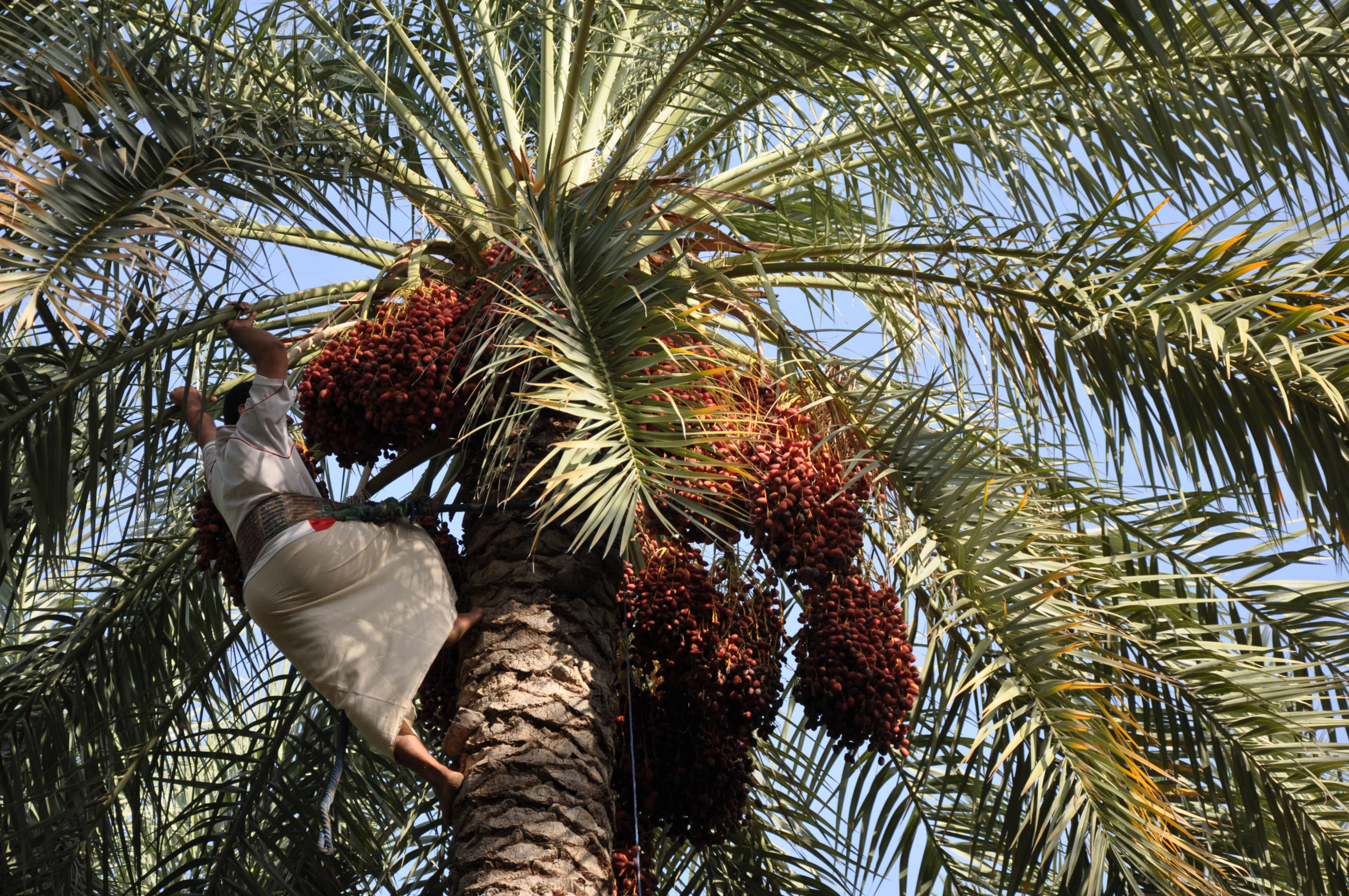 Investigadores buscan en la biodiversidad la clave para salvar a los ...