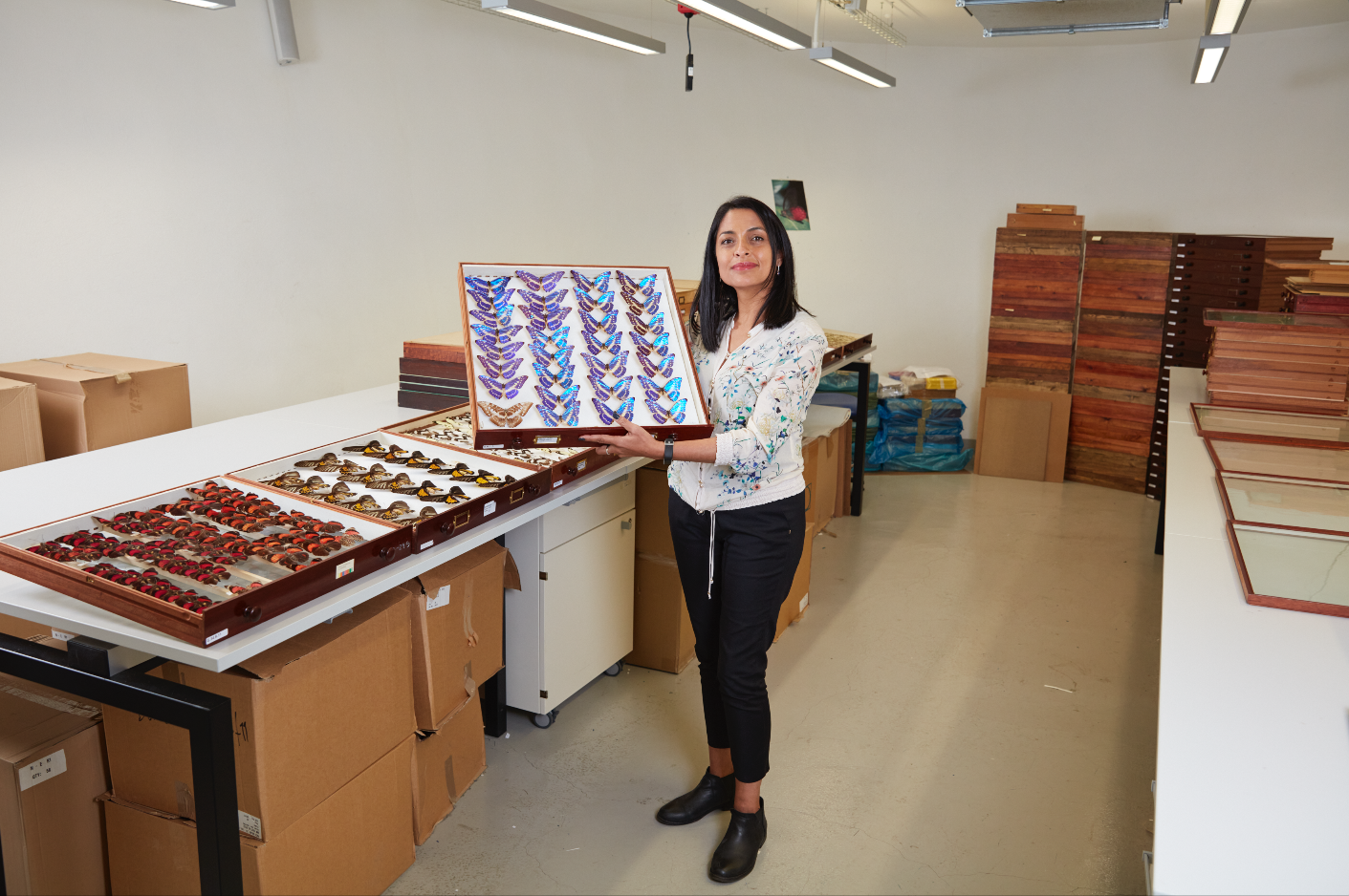 'Colombia debe proteger más del 20 % de la diversidad mundial de ...