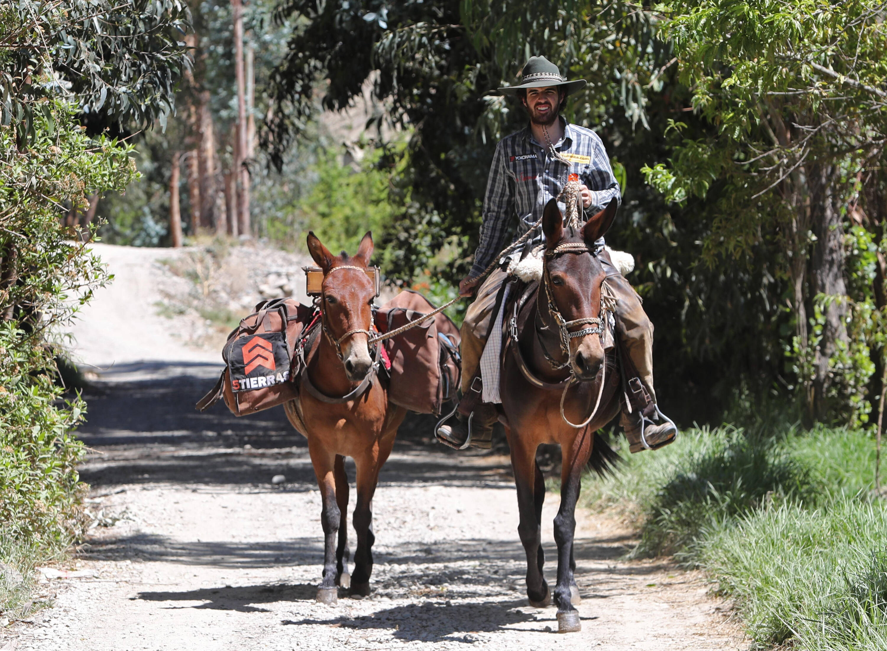 Mula: ¿Por qué no puede tener hijos?