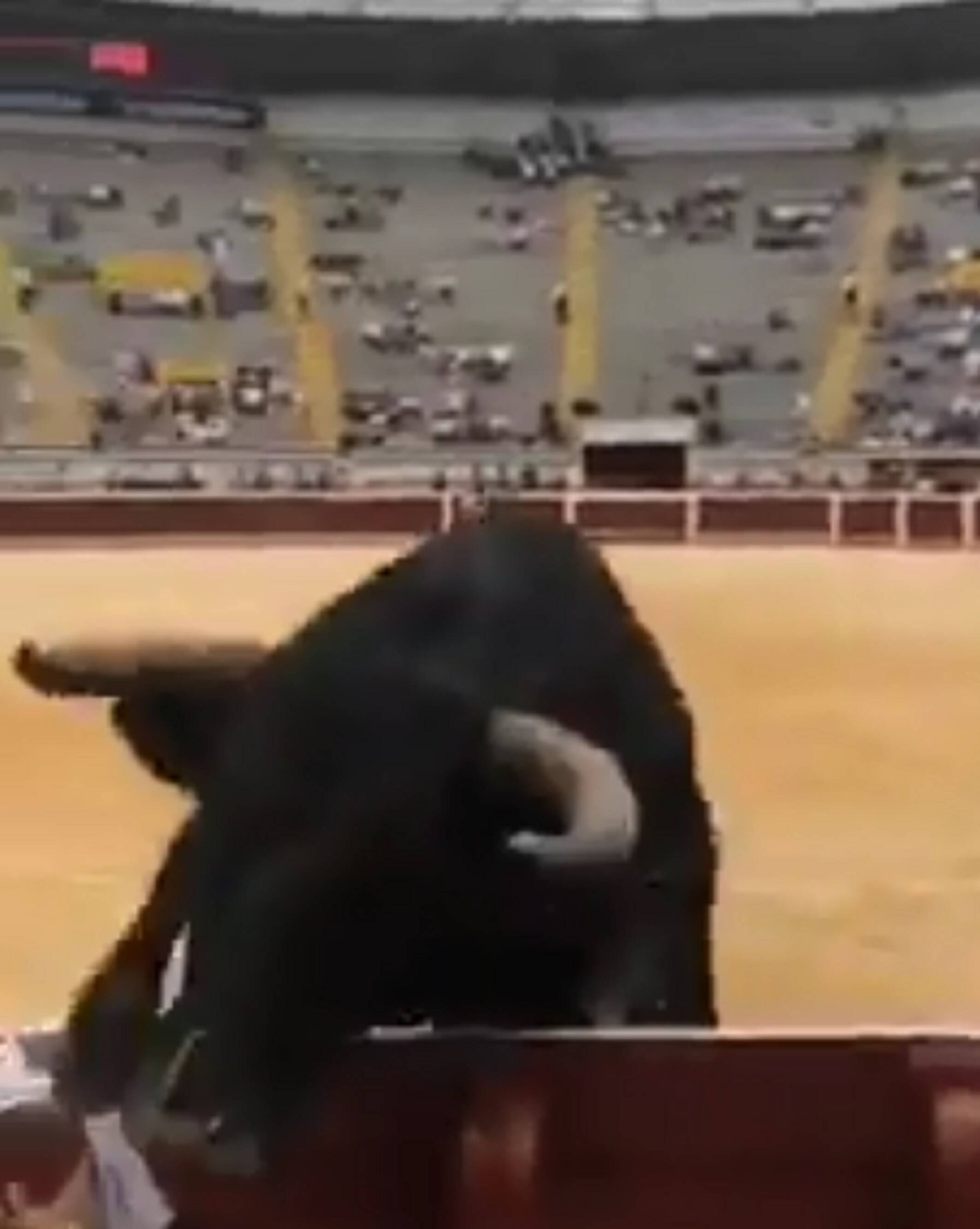 Un toro sobrepasó barrera y embistió a los asistentes en la Plaza de Toros