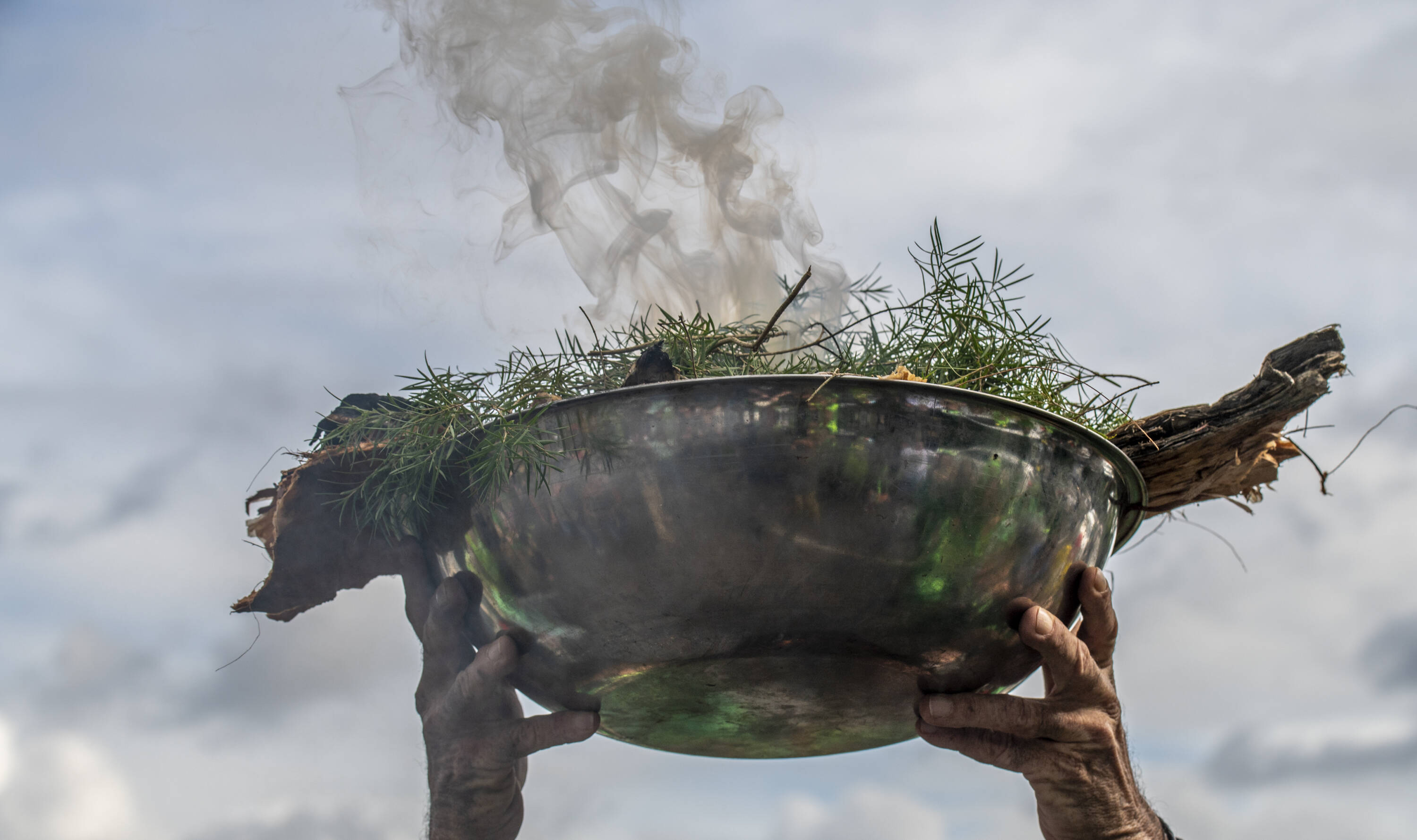 Yagé | Qué es y qué pasa cuando lo toma