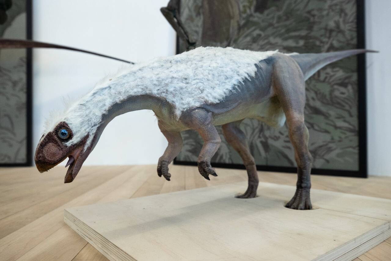 ‘Chilesaurus’, el fósil sorprendente que un niño descubrió en Chile