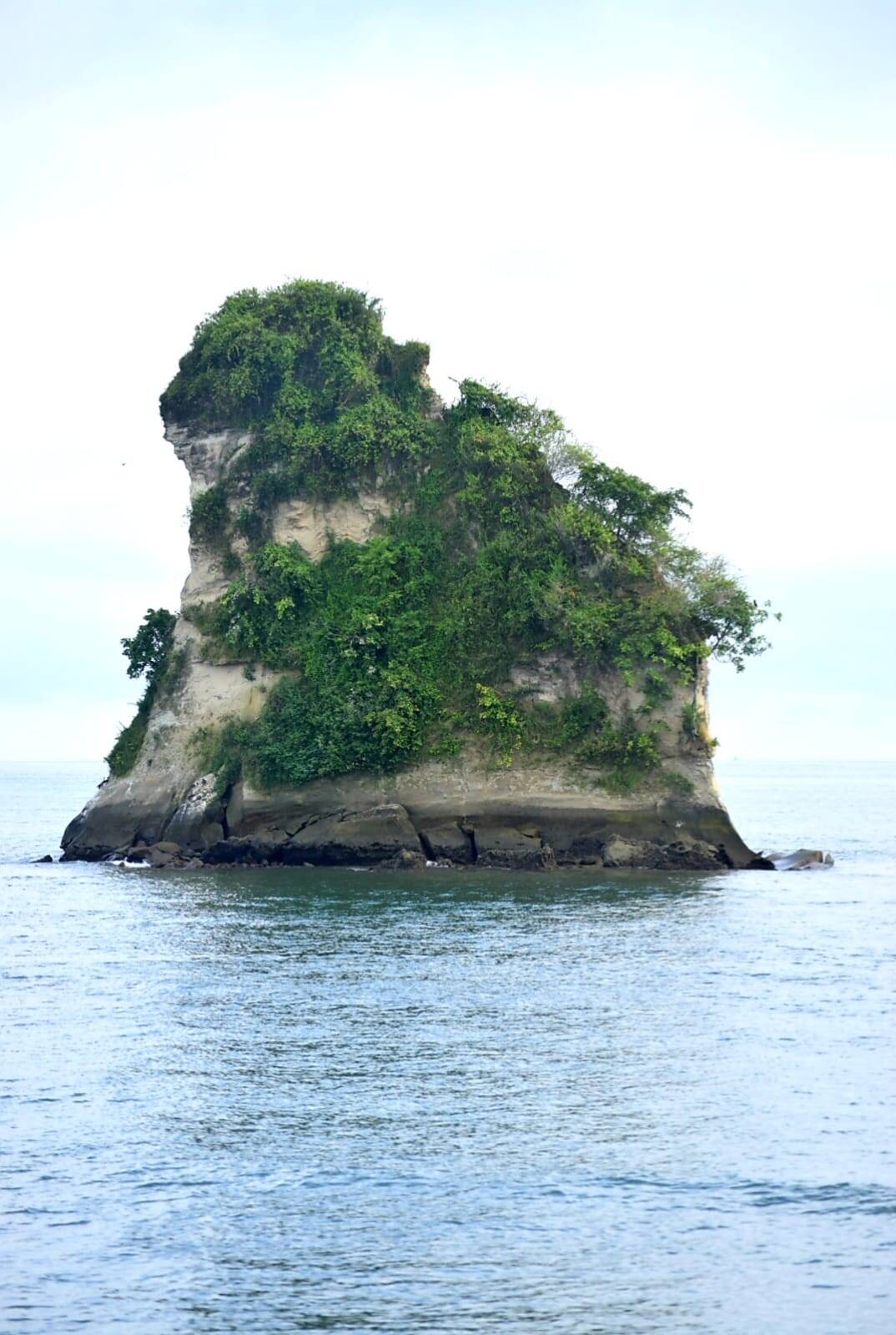 Viajar a Tumaco | Recomendaciones, hoteles y actividades para hacer