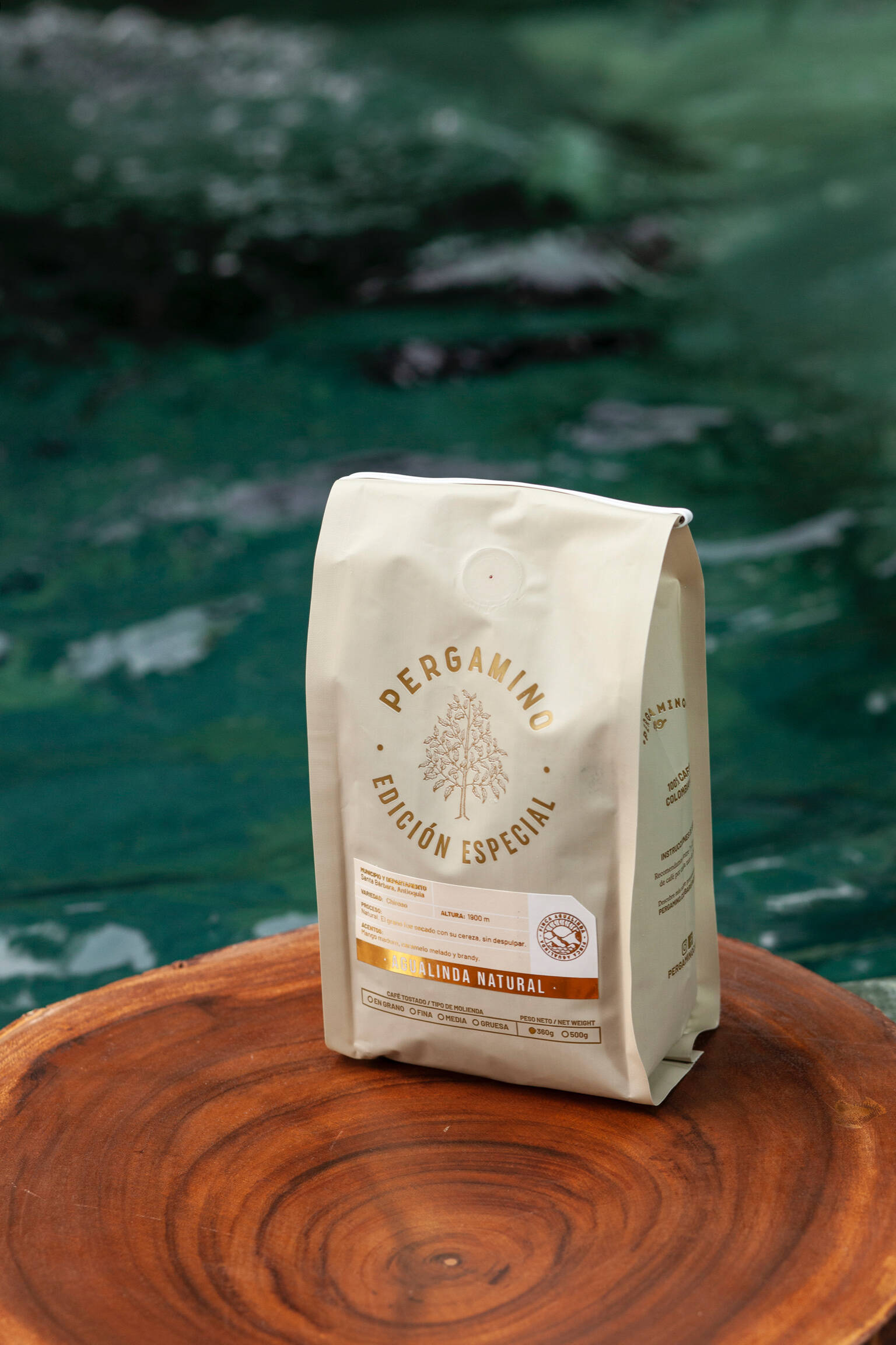 Conozca la historia y legado de Café Pergamino