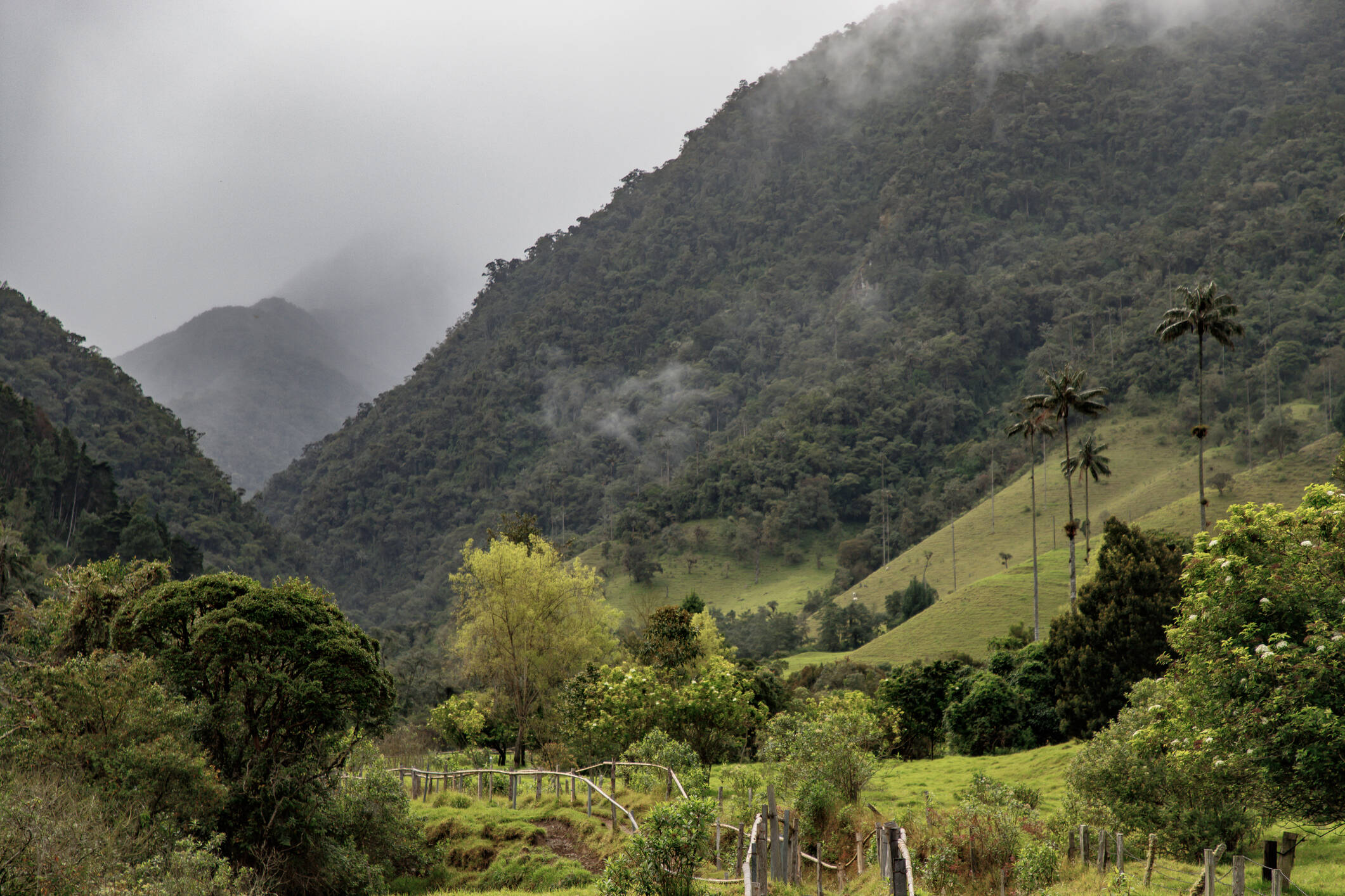Colombia: el segundo país más biodiverso del mundo