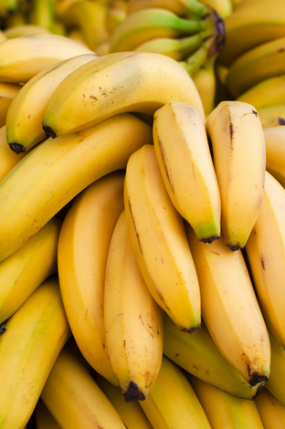 ¿Qué productos son los que más exporta Colombia en este 2023?