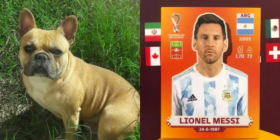 Ofrece lámina de Lionel Messi como recompensa para recuperar mascota